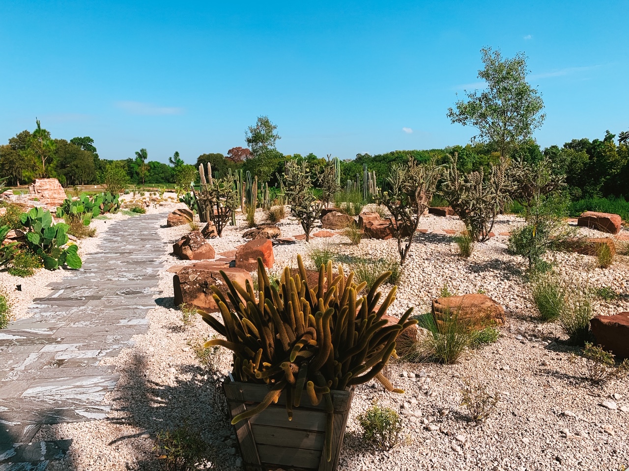 Everything You Need to Know about the New Houston Botanic Garden